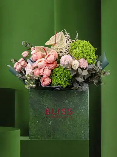 Products | Bliss UAE